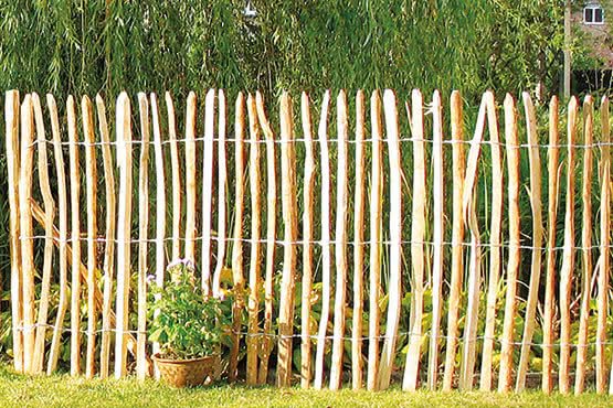 Hasselhegn - jmkiil.dk