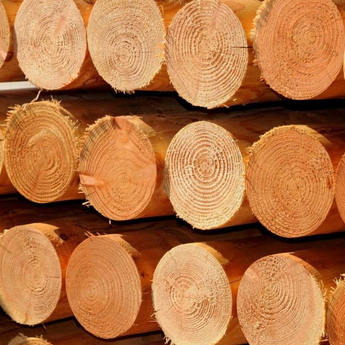 Lærketræsstolper til hegn | Holdbare og naturlige stolper