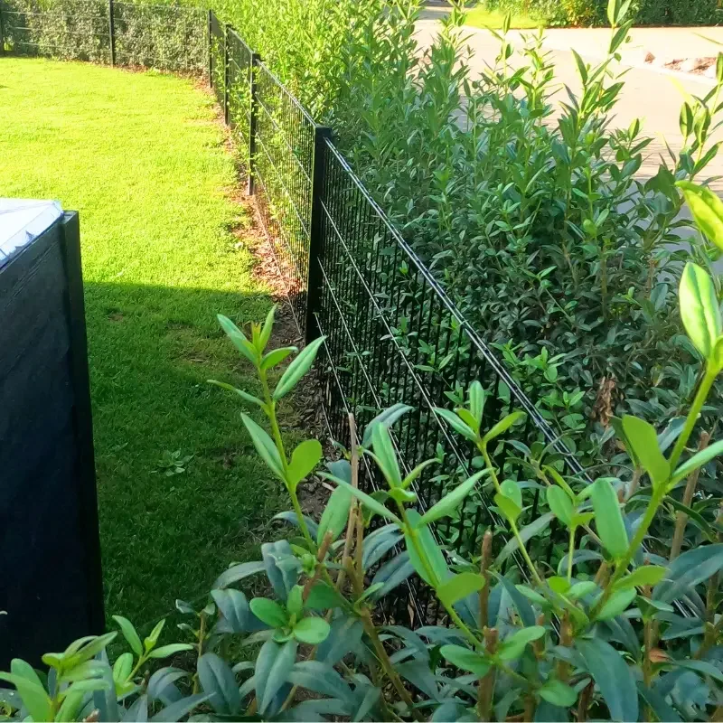 2D Panelhegn i sort 250x95cm | Robust hegn